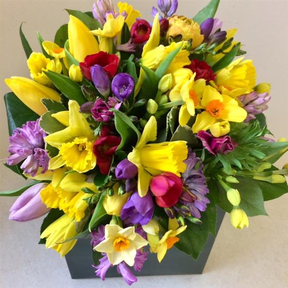 Bright Posy