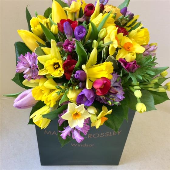 Bright Posy